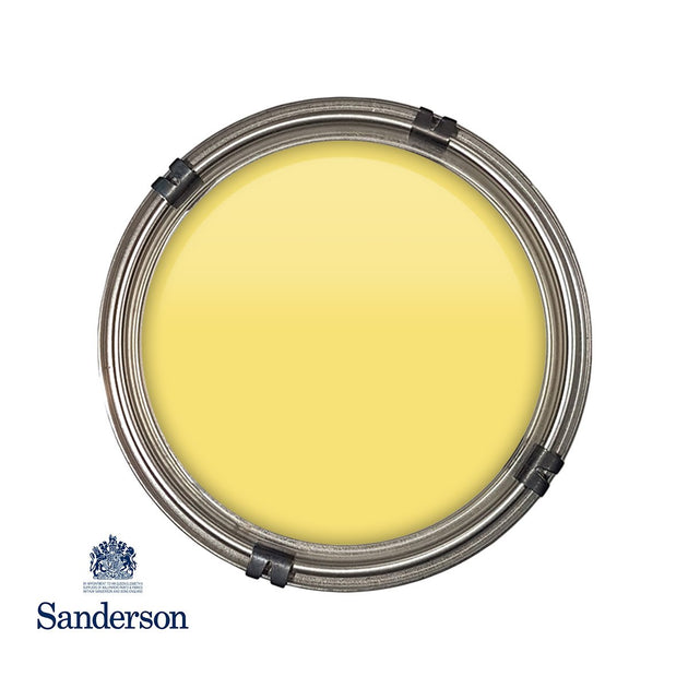 Yellow Sanderson Paint | Next Day Delivery | Luxury Paints