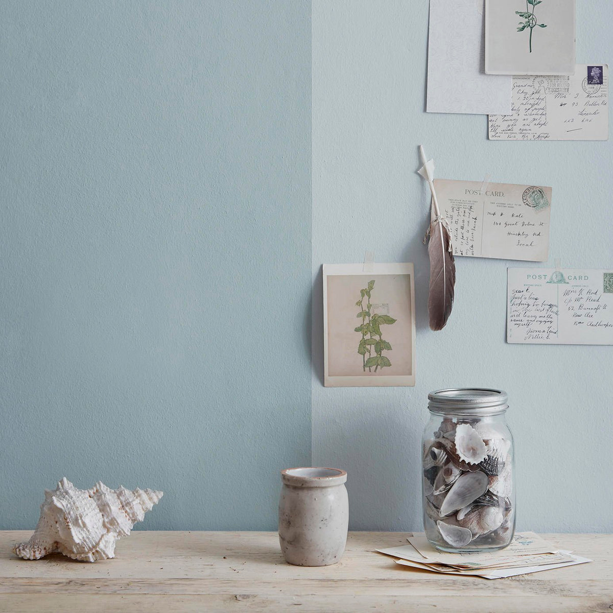 Danbury 113 | Sanderson Paint – Luxury Paints
